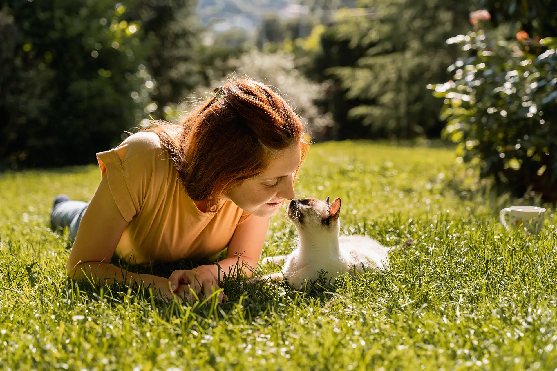 New Client Registration | Parkland Veterinary Hospital
